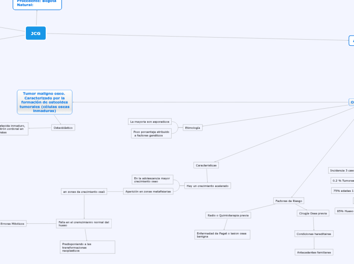 caso Juan Camilo - Mind Map